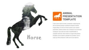 Horse Infographic Design | Free PowerPoint & Google Slides Templates