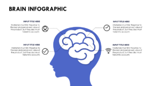 Brain Infographic Concept for Presentation Slides